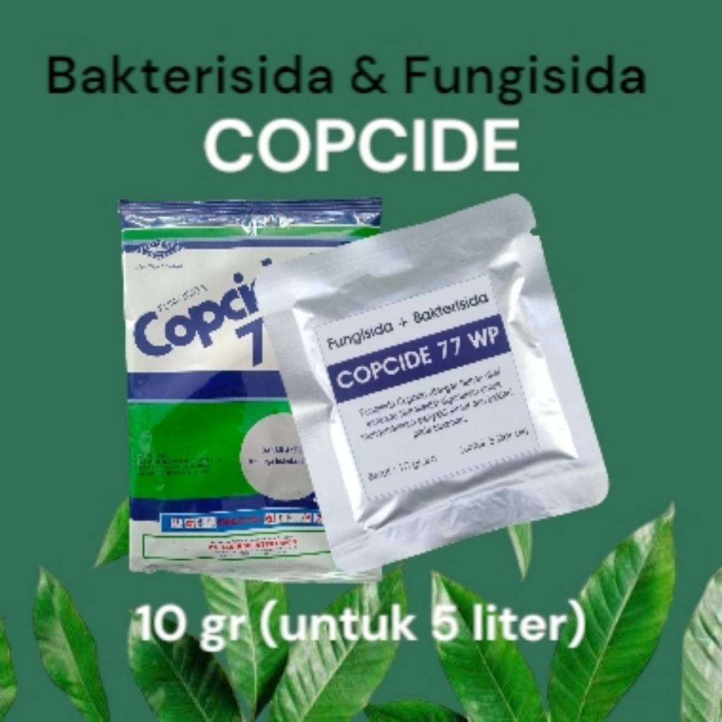 Jual Bakterisida + Fungisida Copcide 77 WP Obat Bakteri & Jamur Tanaman ...