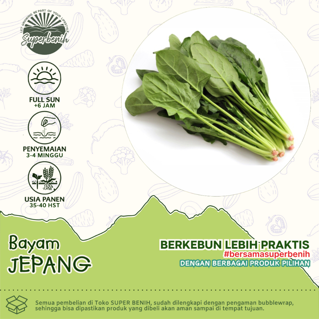 Jual 25 Biji - Benih BAYAM JEPANG, bayam horenso, poling, puling ...