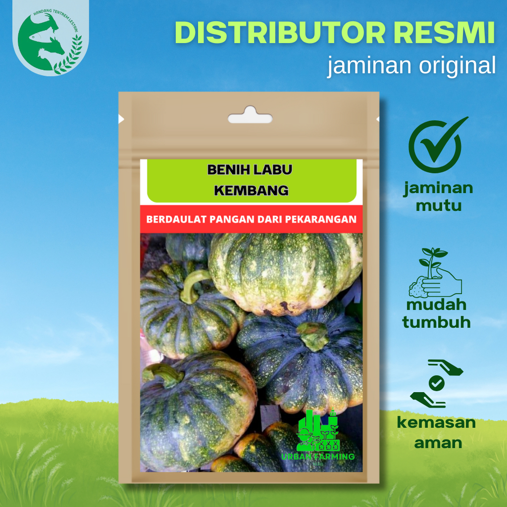 Jual Benih Labu Waluh Kuning KEMBANG 25 Biji Urban Farming Unggul Besar ...