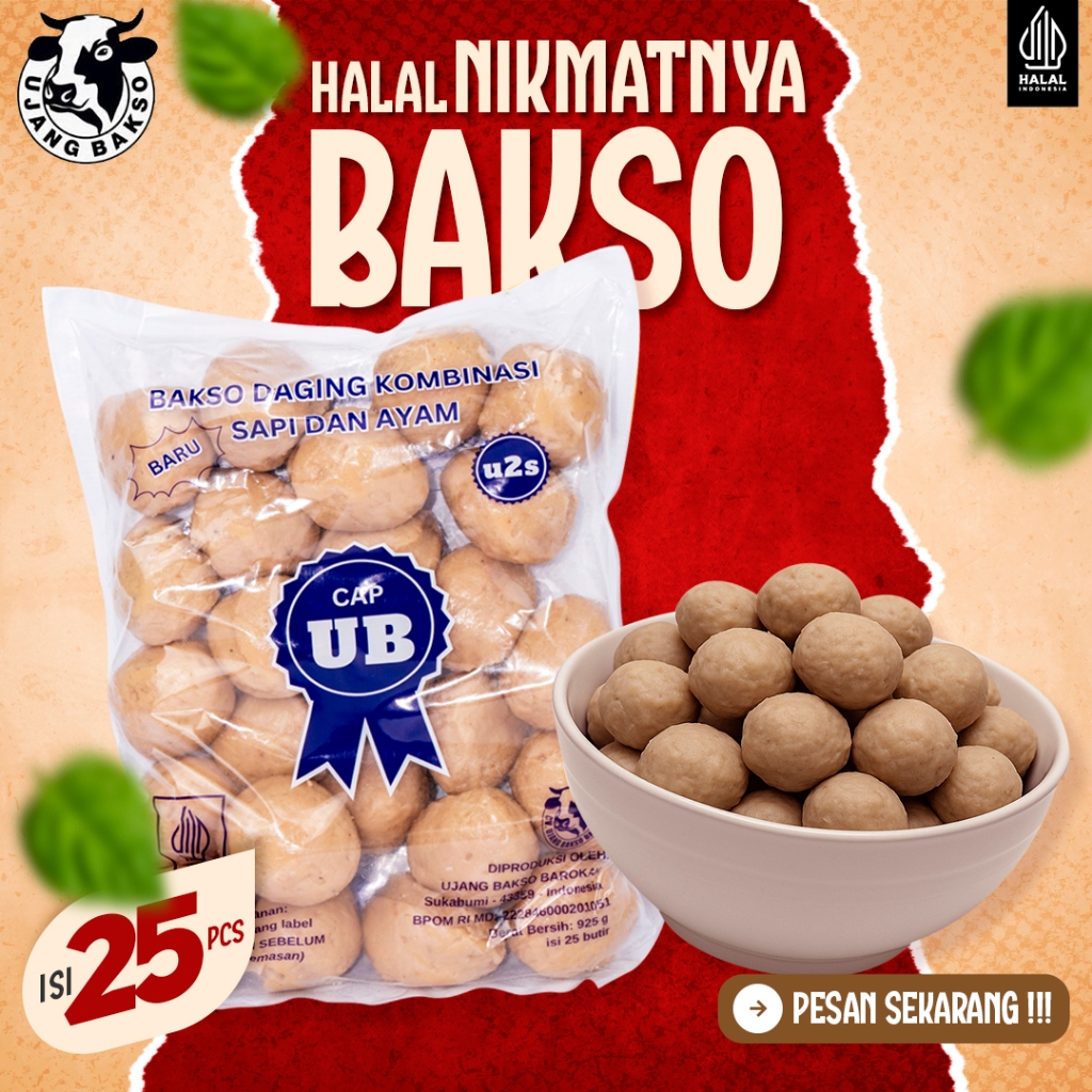 Jual Bakso kemasan isi 25 butir Sehat Lezat Nikmat Fresh Tanpa Pengawet ...