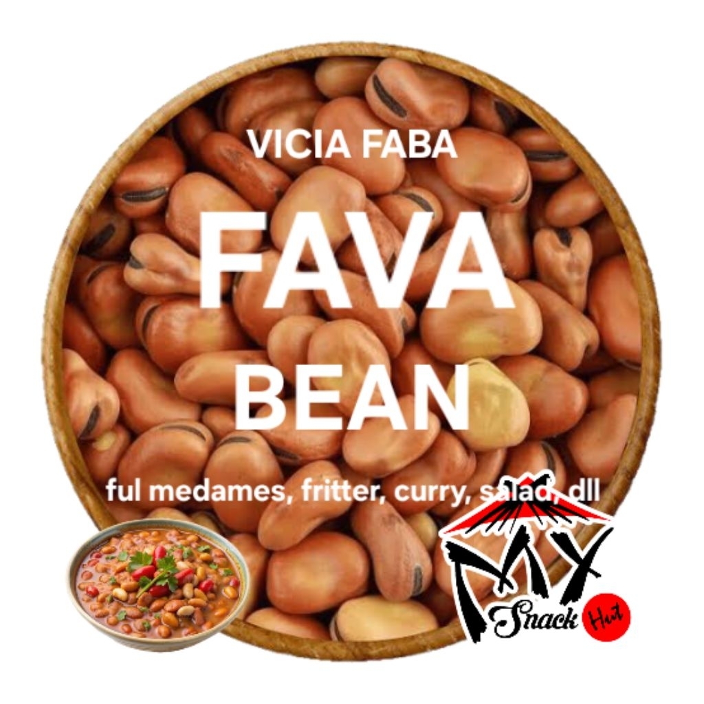 Jual KACANG FAVA 100GR FABA BEAN FABACEAE KAPRI KUDA TIK LADANG KERANG ...