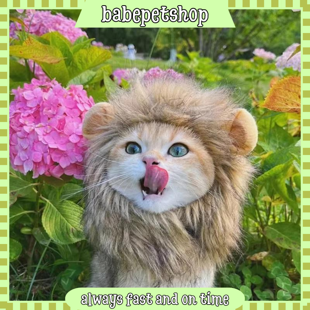 Jual babepetshop TOPI SINGA BEAR PANDA SWAN BUNNY Lucu Kucing Anjing ...