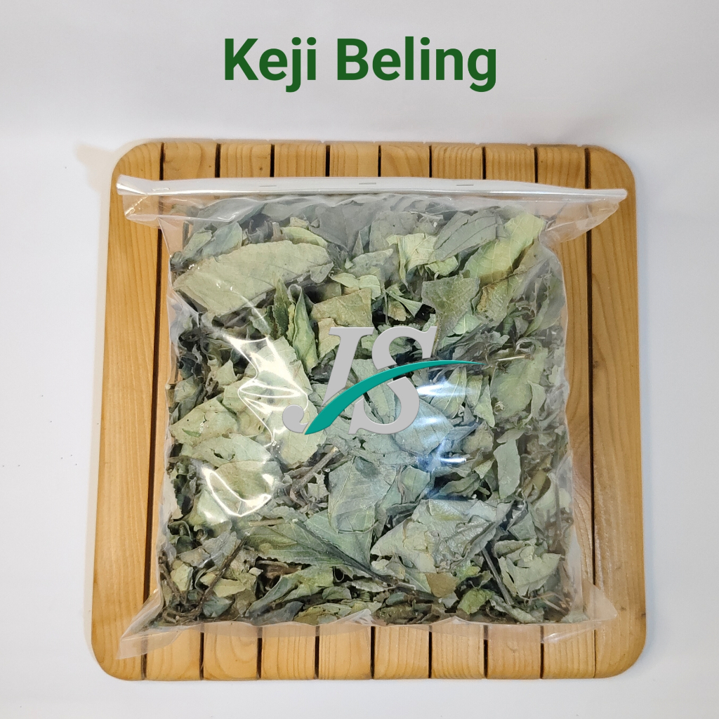 Jual Daun Keji Beling Kering 500 gram Daun Pecah Beling | Shopee Indonesia
