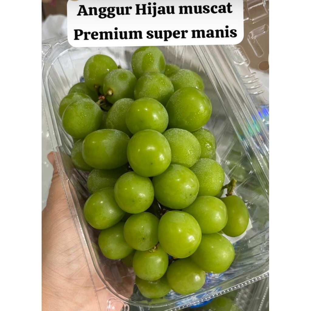 Jual Anggur Muscat Terlengkap & Harga Terbaru Mei 2026 | Shopee Indonesia