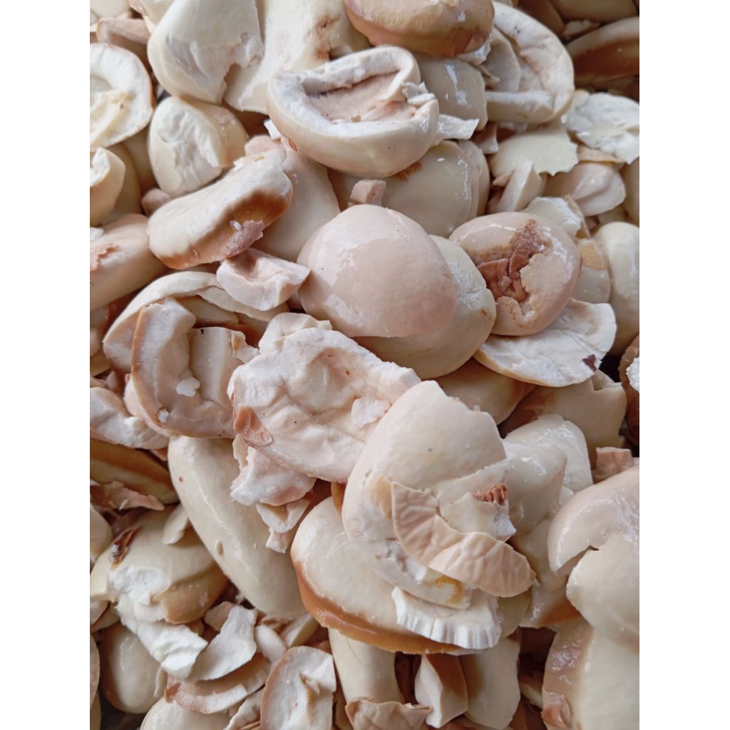 Jual sayur keluek muda segar / picung muda | Shopee Indonesia