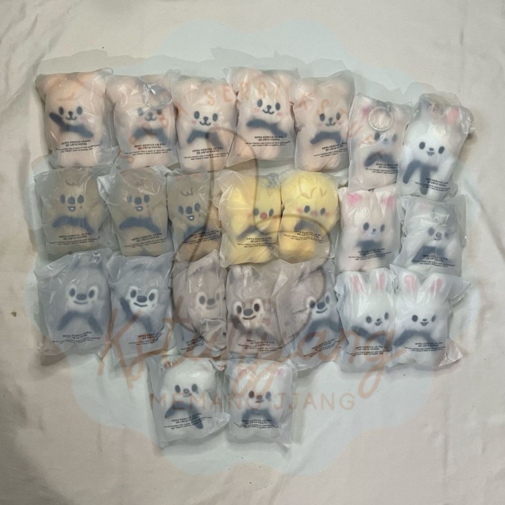 Jual [BACA DESKRIPSI] Stray Kids dominATE | Shopee Indonesia