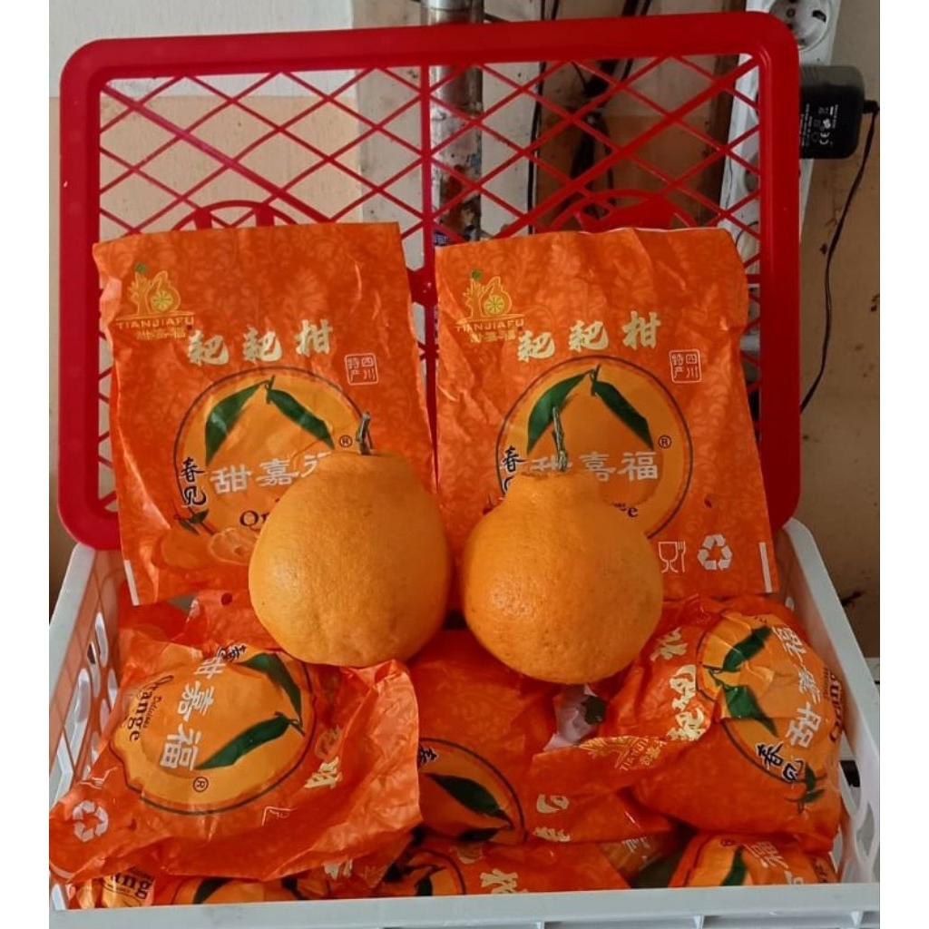 Jual JERUK PAPAGAN ORANGE KILOAN 1 KG MANIS | Shopee Indonesia