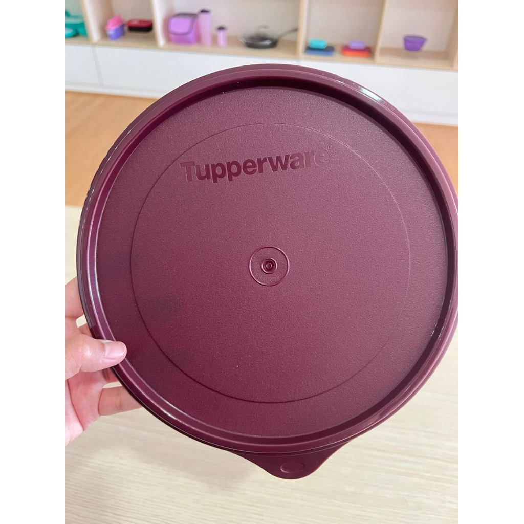 Jual Seal giant canister tupperware 24cm | Shopee Indonesia