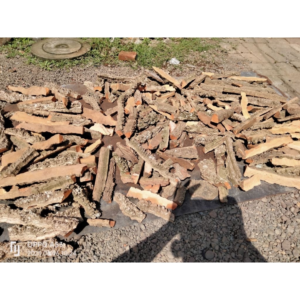 Jual Kayu Kudopait | Kayu Sawangan | Sawangan Merpati | Kudopait |bahan ...