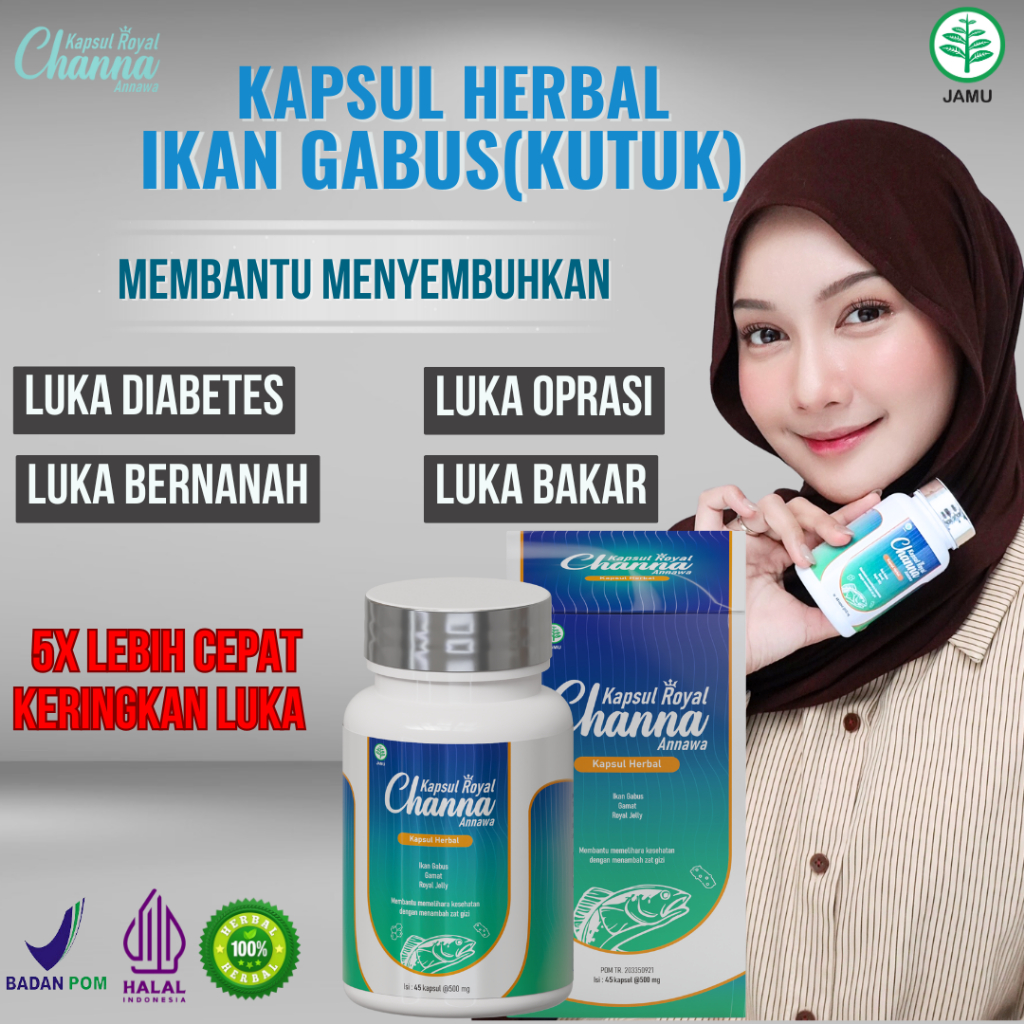 Jual Royal Channa Obat Herbal Kapsul Ekstrak Ikan Kutuk Gaabus Obat ...
