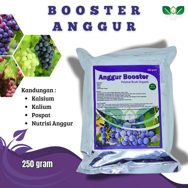 Jual Pupuk Organik Booster Pelebat Buah Anggur dan Pupuk Penyubur Anggur Agar Cepat Berbuah ...
