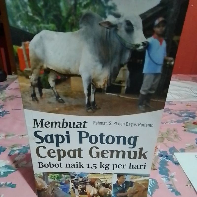 Jual Buku Membuat Sapi Potong cepat gemuk original | Shopee Indonesia