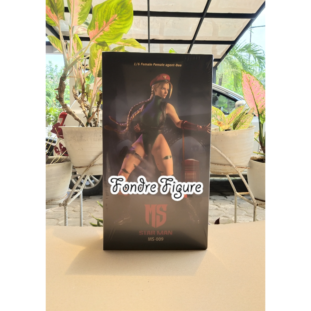 Jual ORIGINAL STAR MAN MS009 1/6 SCALE FEMALE AGENT STREET FIGHTER CAMMY FIGURE | Shopee Indonesia