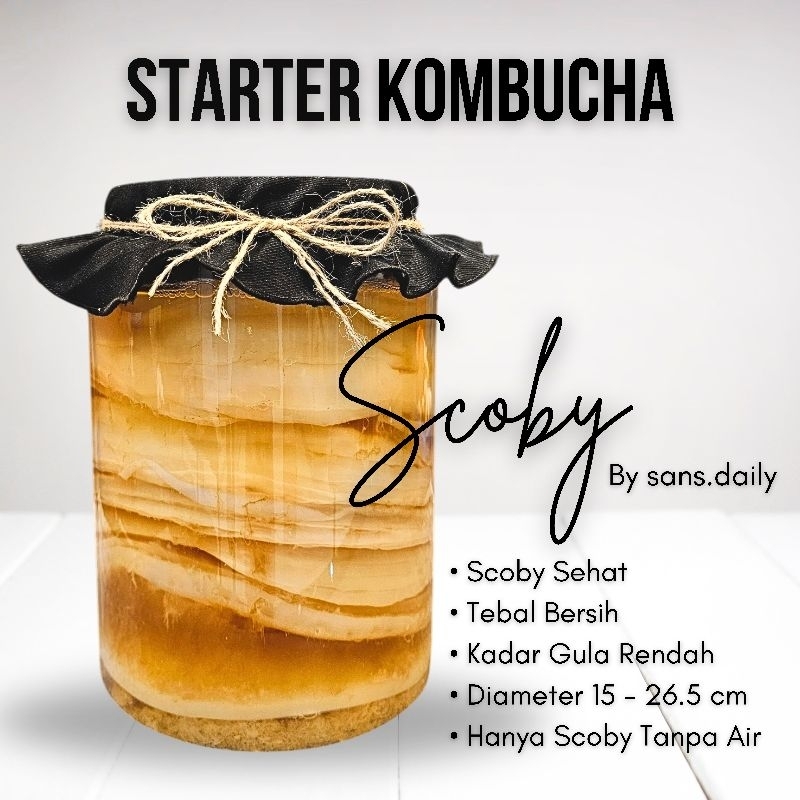 Jual STARTER SCOBY - KOMBUCHA - Scobynya Aja - Untuk Fermentasi (sehat ...