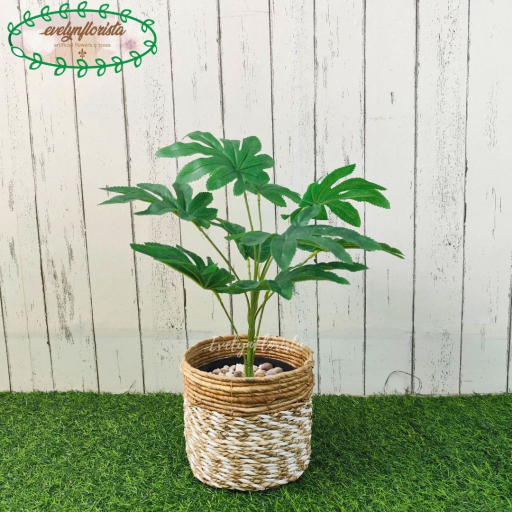Jual Pohon Artificial Daun Aralia Cover Pot Seagrass Coklat Mini Hiasan ...