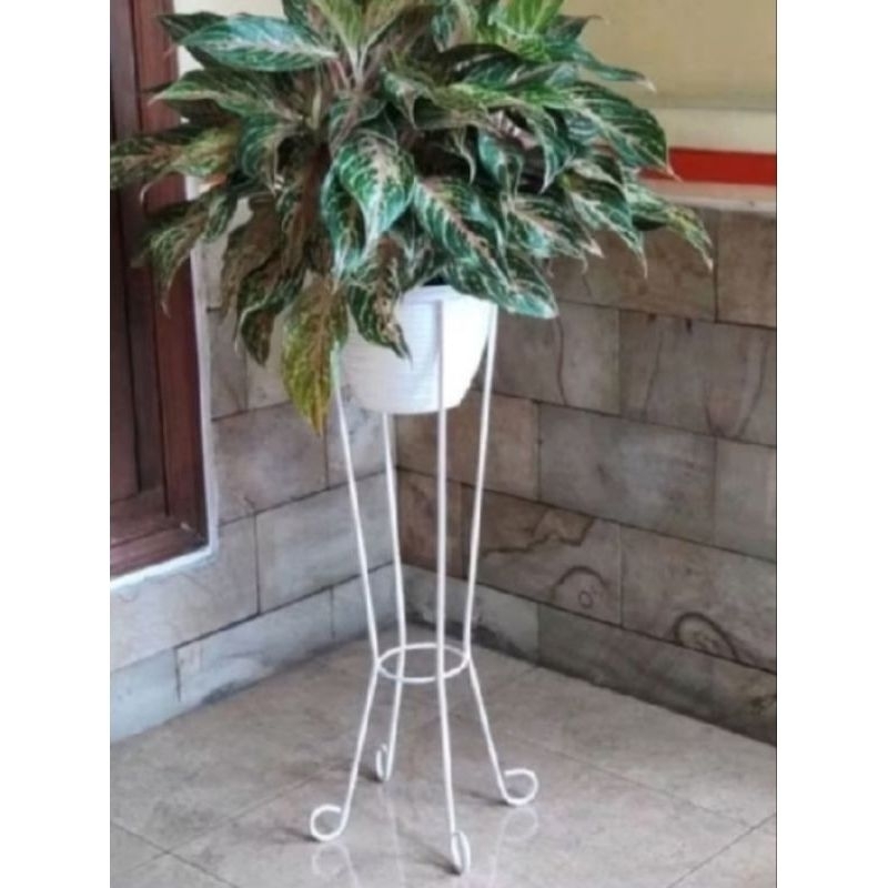Jual standing pot minimalis rak pot besi | Shopee Indonesia