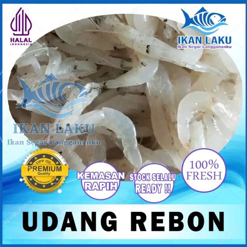 Jual Udang Rebon Basah Segar – Seafood Fresh MPASI Tanpa Pengawet ...
