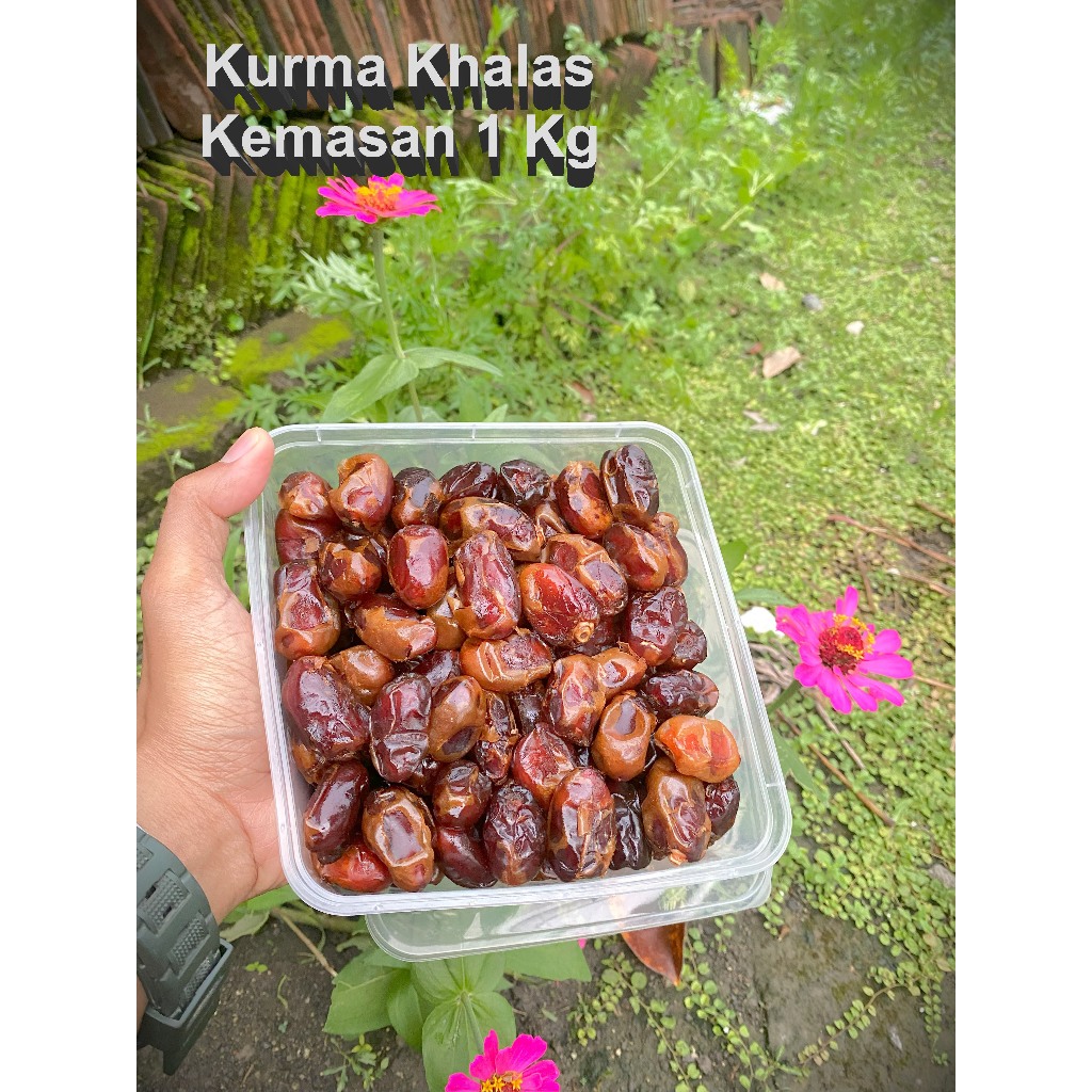 Jual Kurma Khalas Al-Saad 1 Kg , 250Gr Kurma kolas Kurma asli Khalas ...