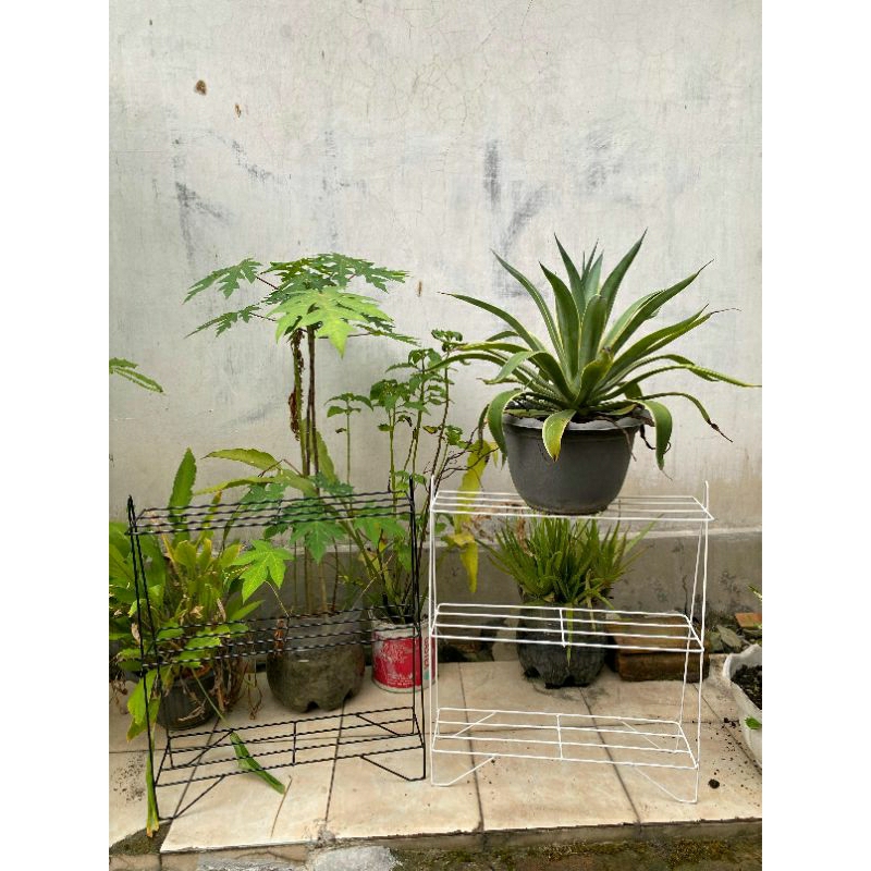 Jual RAK BUNGA SUSUN 3 MEMANJANG / RAK SEPATU | Shopee Indonesia