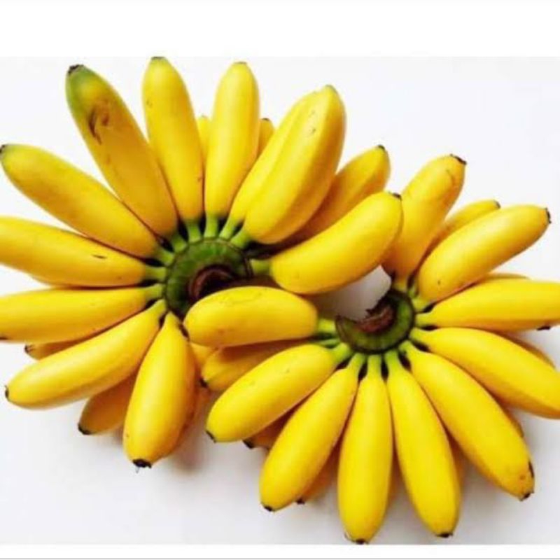 Jual pisang mas/unyi pilihan | Shopee Indonesia