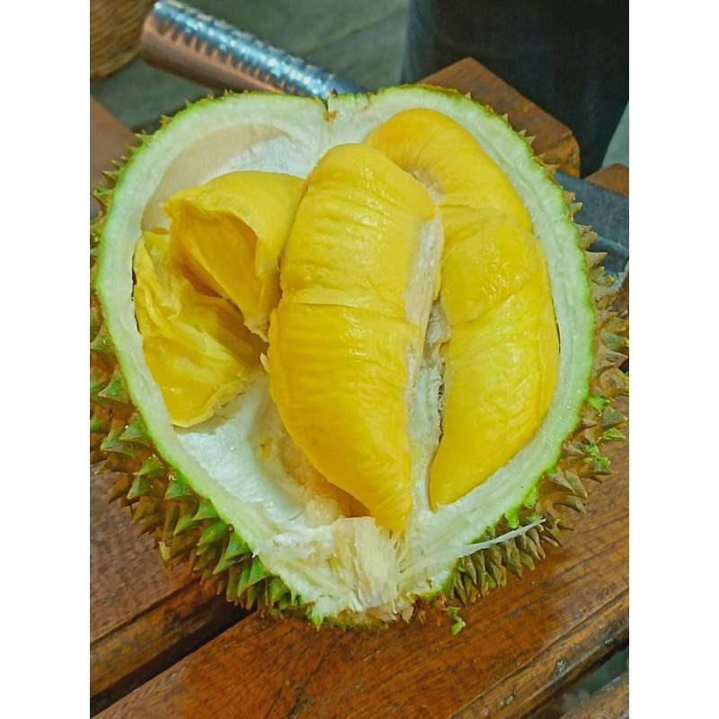 Jual DURIAN MONTONG KUPAS PREMIUM BERKUALITAS | Shopee Indonesia