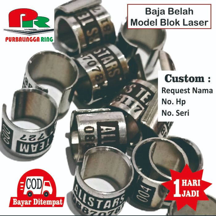 Jual Per 10 pcs Ring Merpati Dewasa Model baja belah | Shopee Indonesia