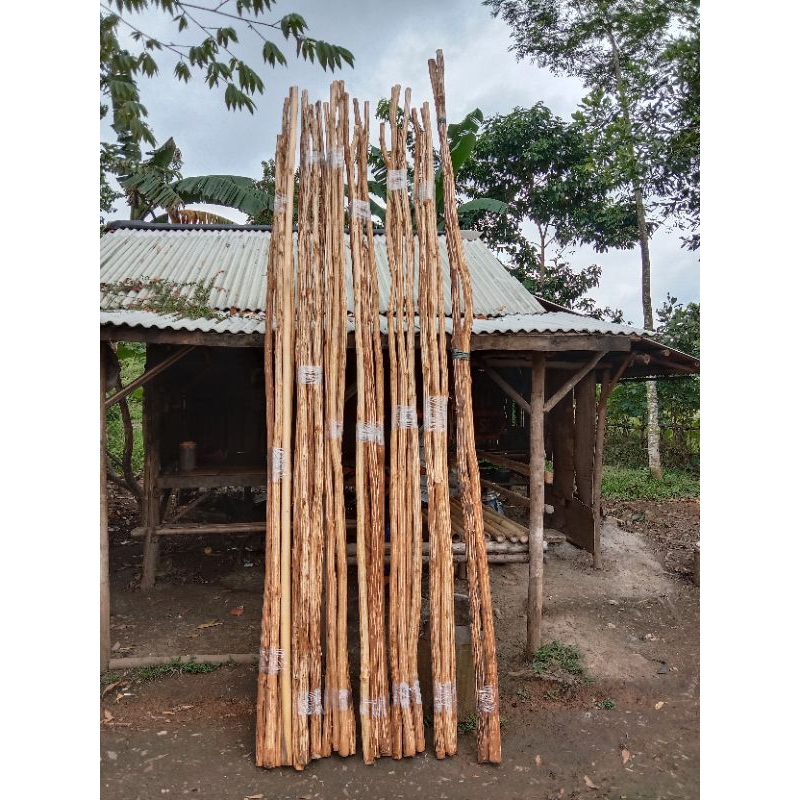 Jual kayu/dolken puspa | Shopee Indonesia