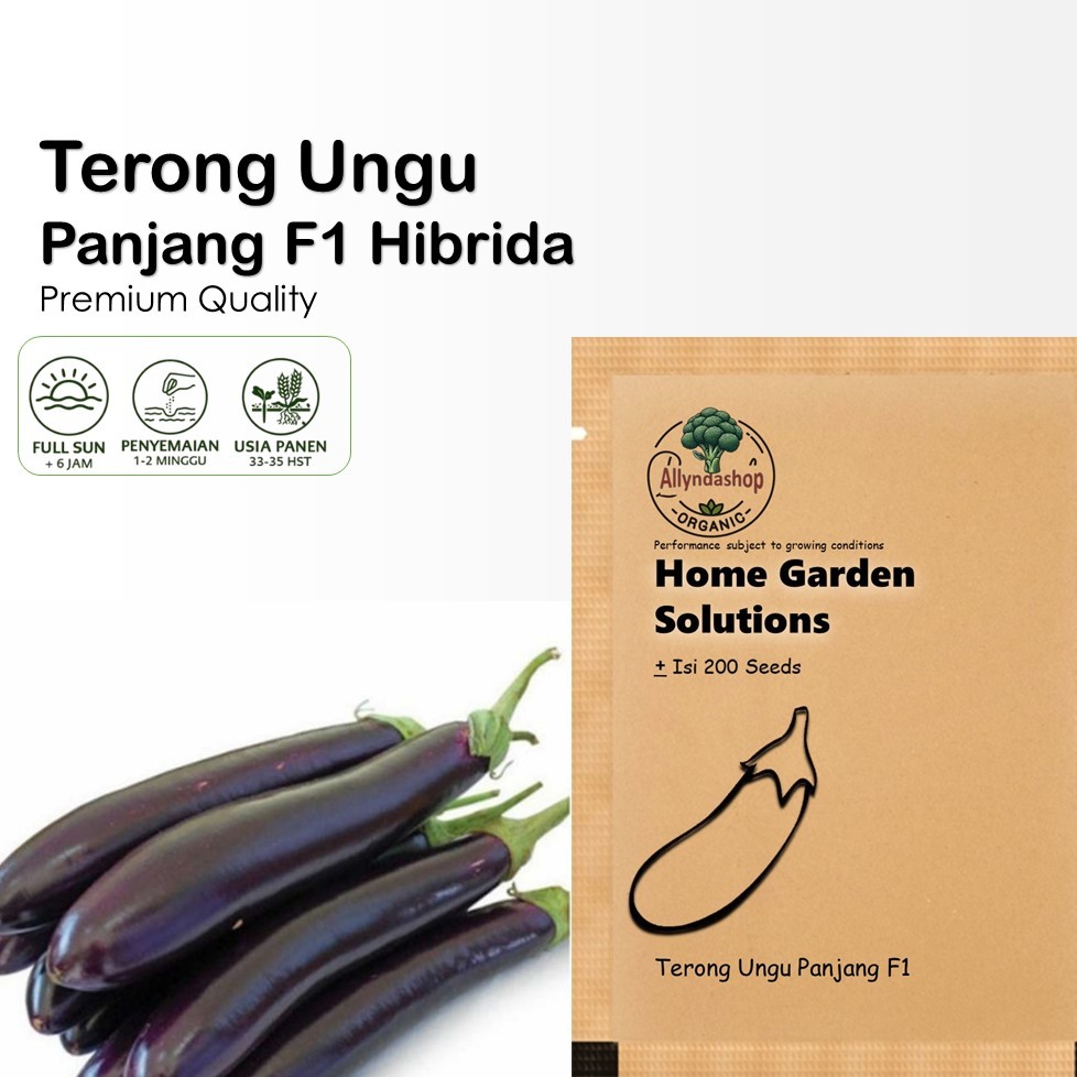 Jual 500 Biji - Bibit Benih Sayuran Terong Ungu Panjang F1 Hibrida | Shopee Indonesia