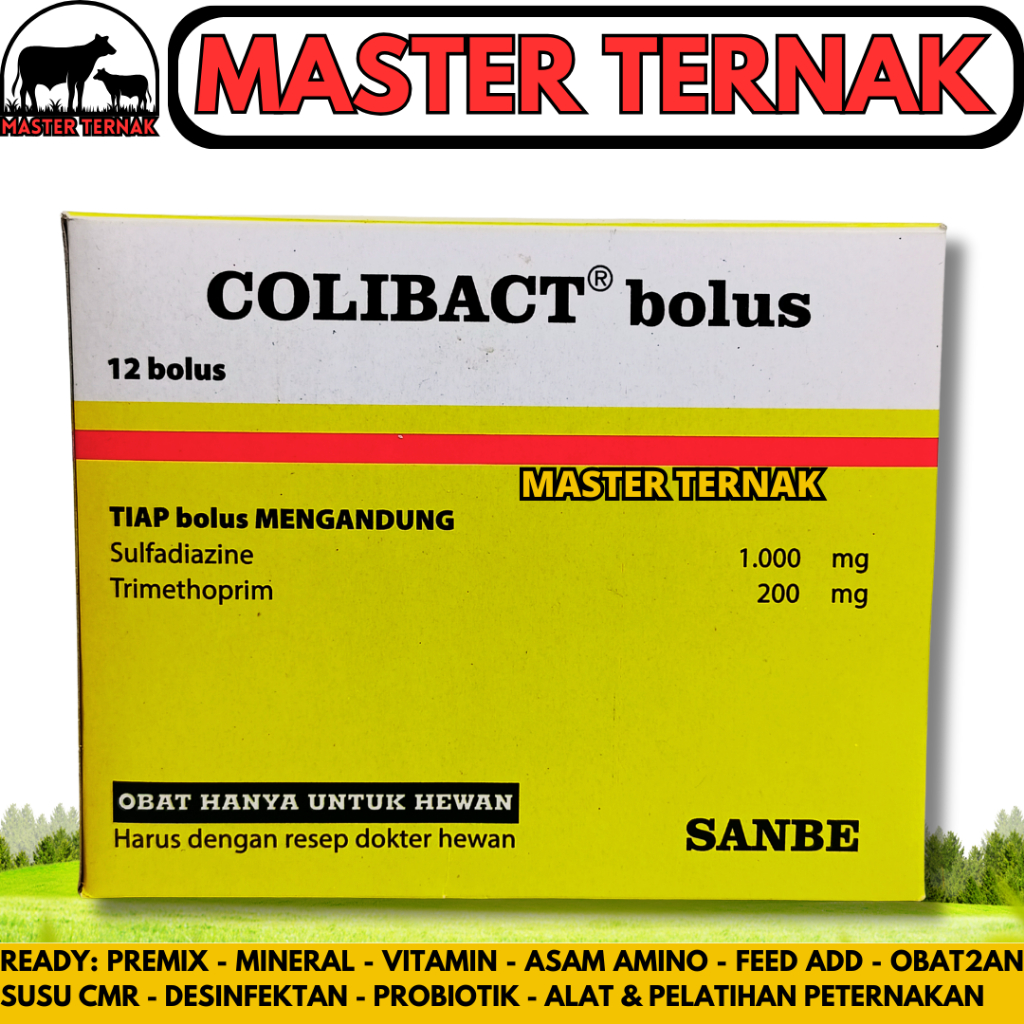 Jual COLIBACT BOLUS 1 BOX ISI 12 BOLUS - Obat Antibakteri Hewan Ternak ...