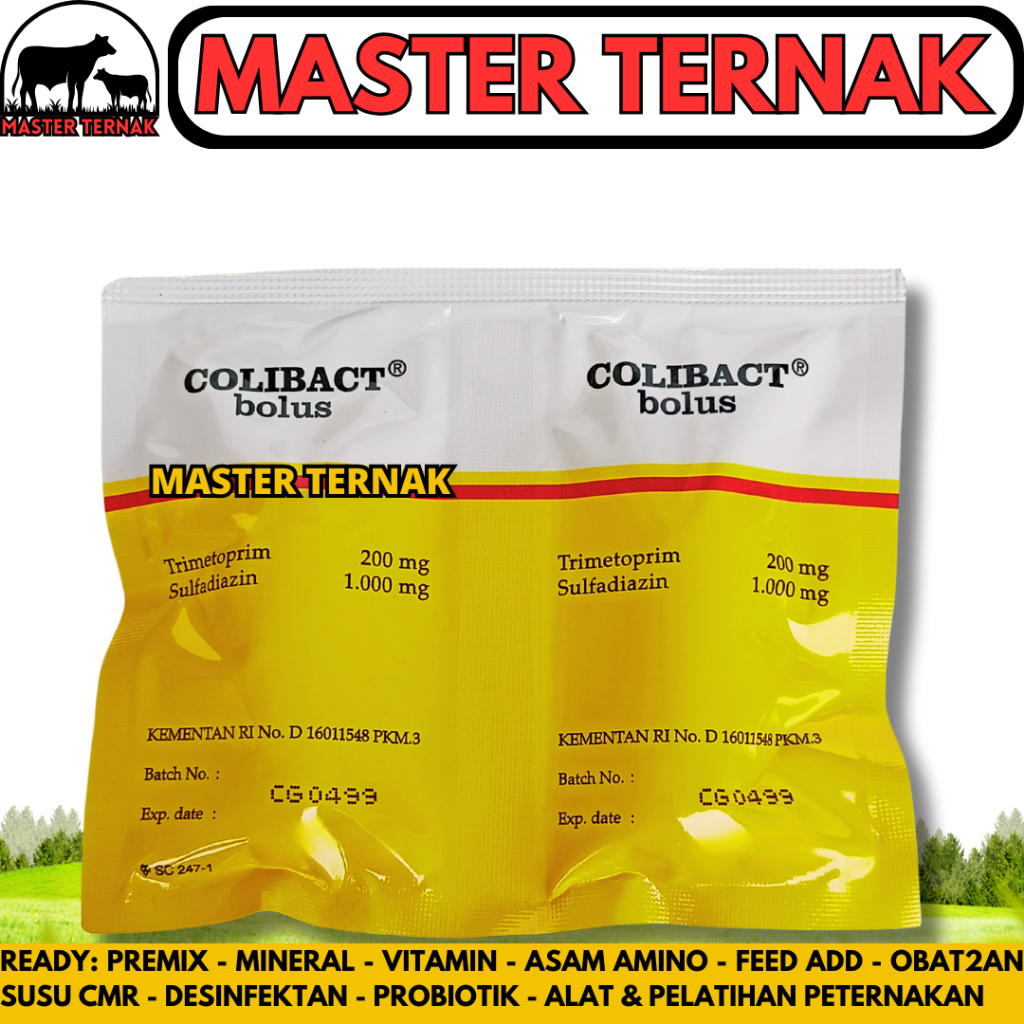 Jual COLIBACT BOLUS 1 BOLUS SANBE - Obat Antibakteri Hewan Ternak Diare ...