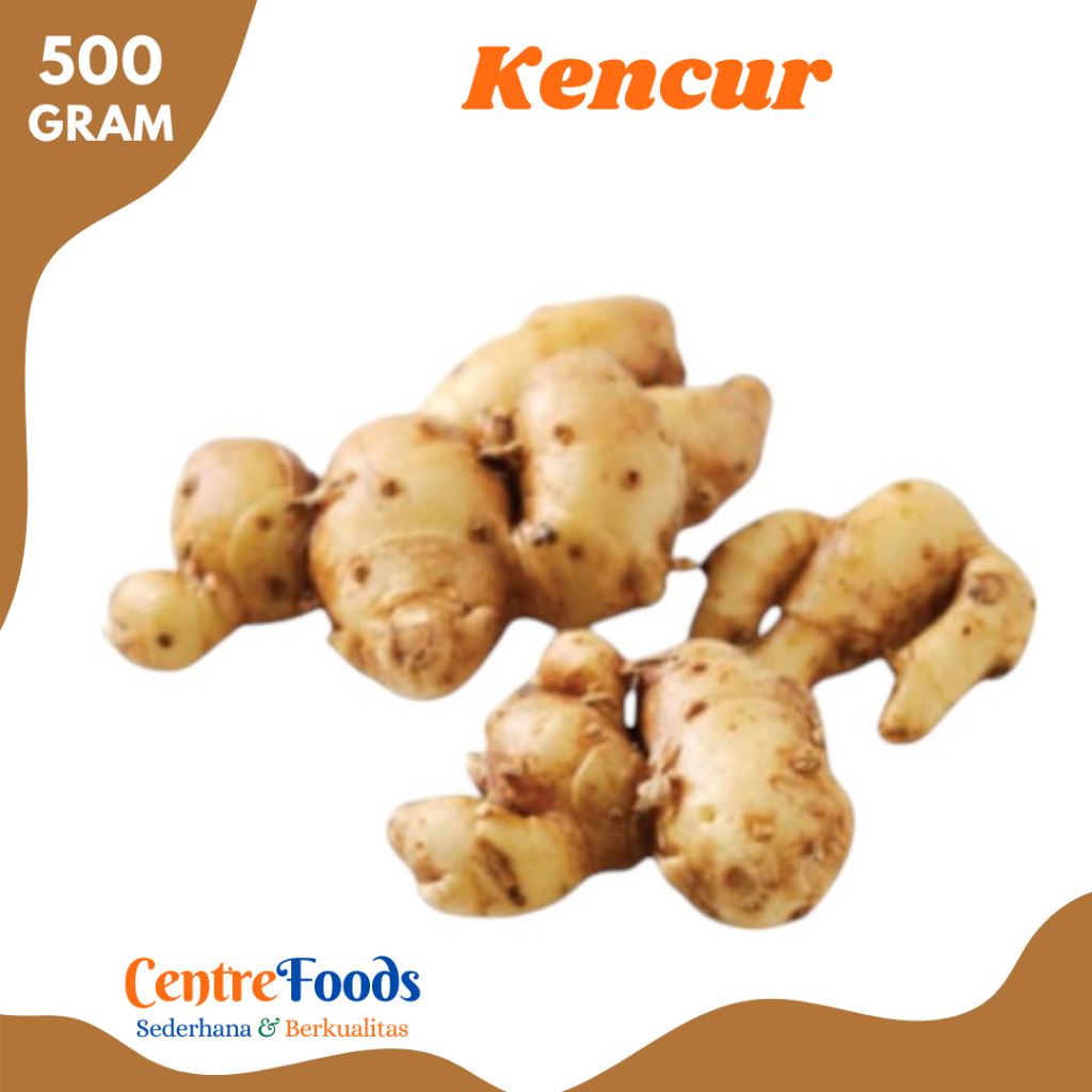 Jual KENCUR Segar - Cikur Kawicer Galangal Fresh | 500gr [ Harga Per 0 ...