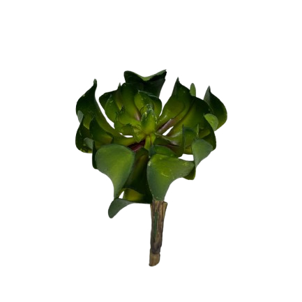 Jual CACTUS HIAS/ CACTUS PALSU/ TANAMAN KAKTUS/ DAUN AGAVE/CACTUS ...