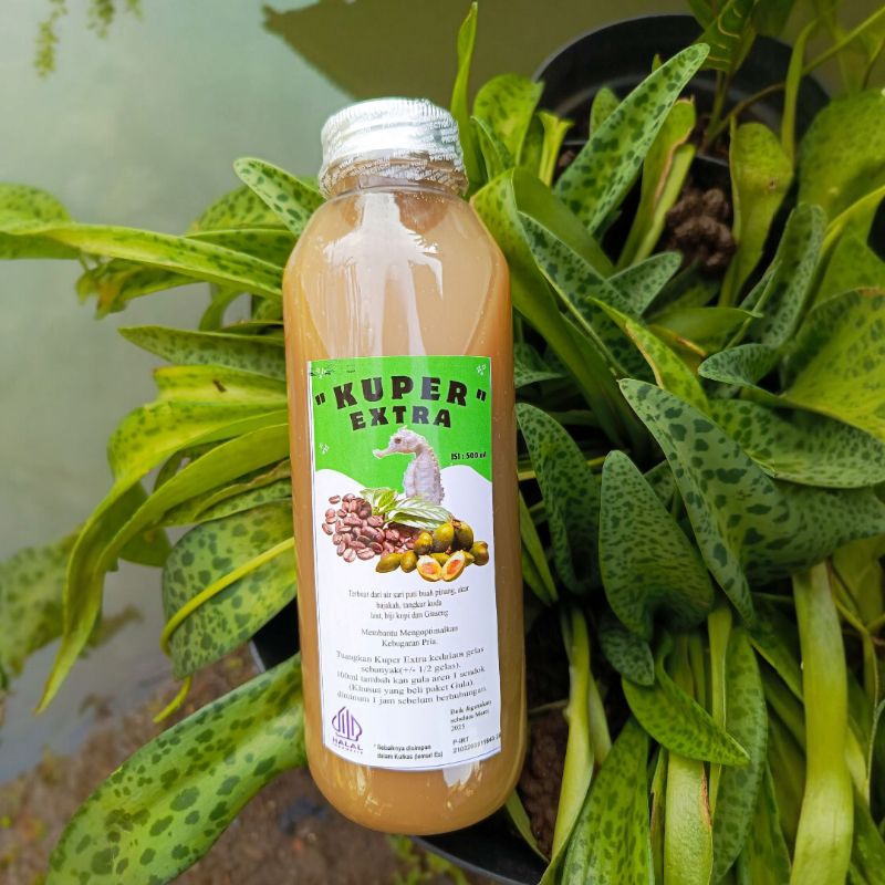 Jual KUPER EXTRA 500 ml JAMU KUAT HERBAL PRIA DEWASA TAHAN LAMA ...