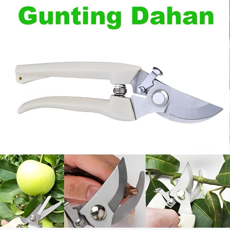 Jual HOMEWARE Gunting Dahan Ranting / Gunting Ranting Daun Tanaman ...
