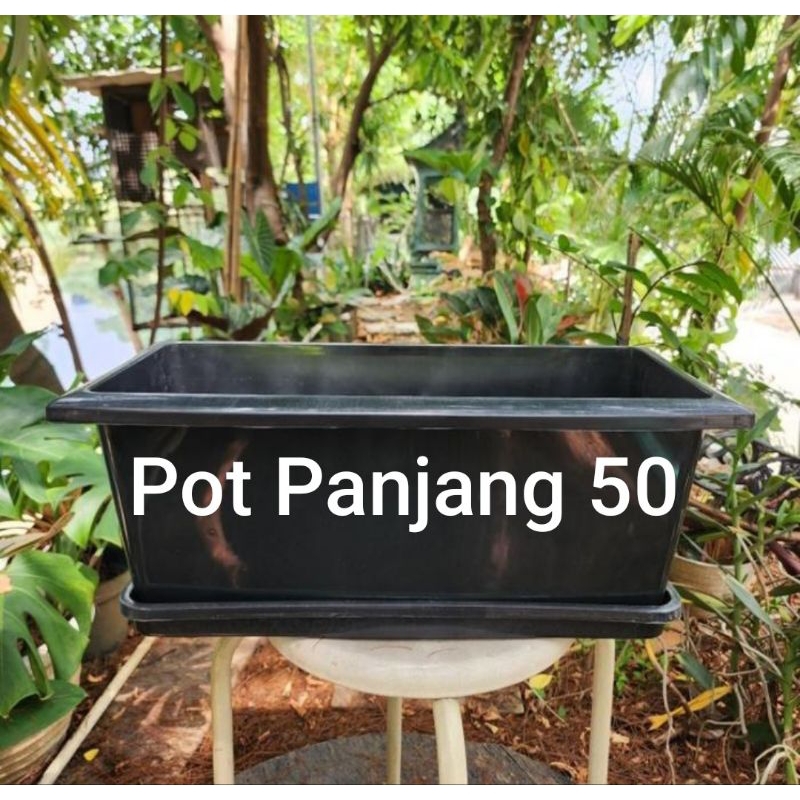 Jual Pot Bunga Tanaman Panjang 50, Pot Panjang Polos Hitam | Shopee ...