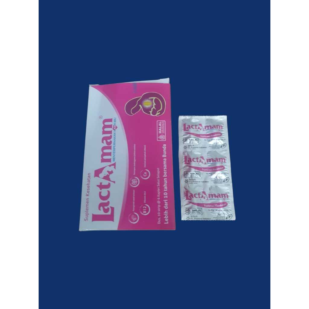 Jual Lactamam 1 strip isi 6 tablet | Shopee Indonesia