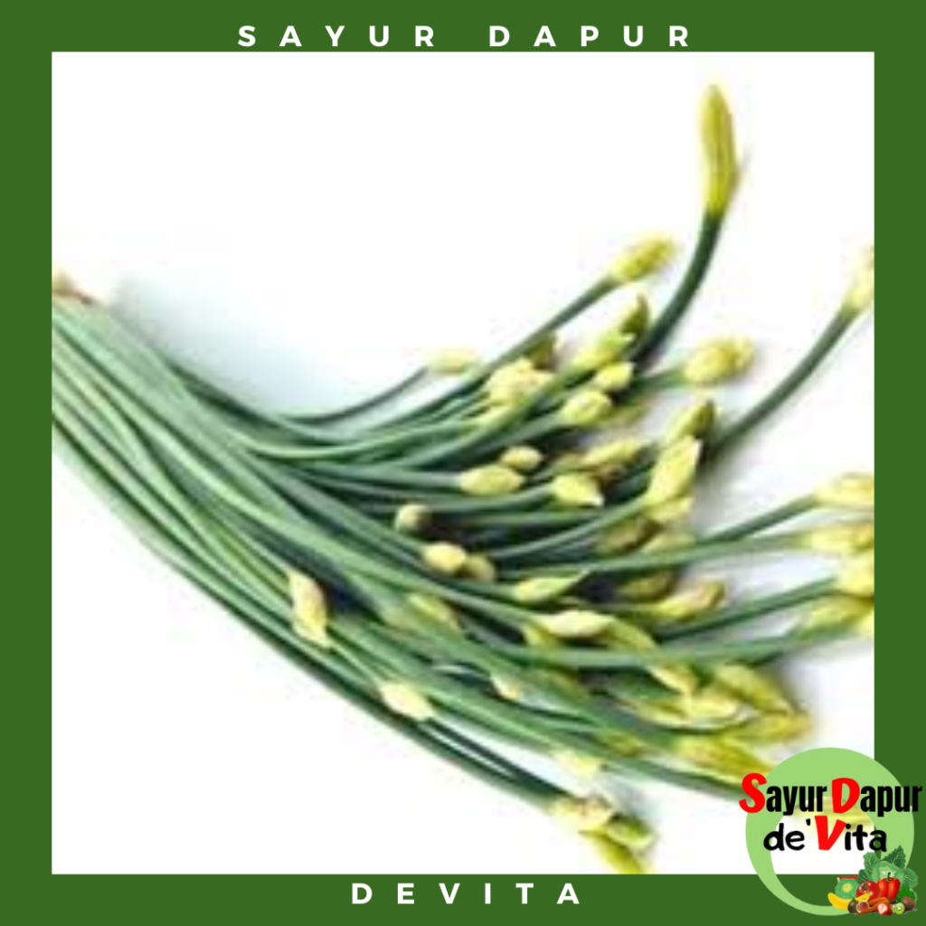 Jual Belalo, Bunga Daun Bawang, Buang Pre, Daun Kucai | Shopee Indonesia