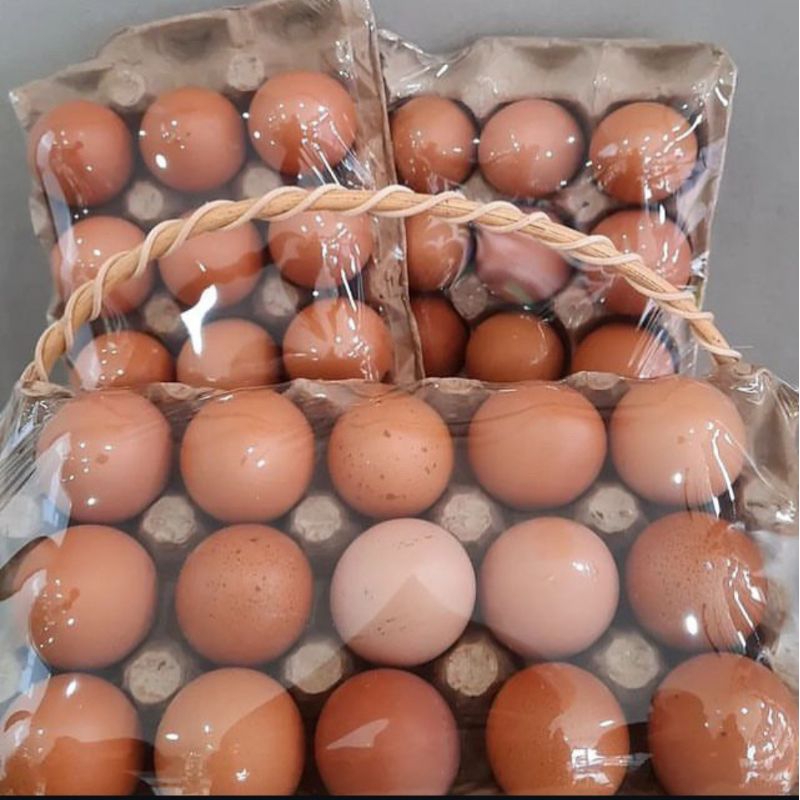 Jual Telur Ayam Negeri di jual kemasan Pack isi 15 Butir | Shopee Indonesia
