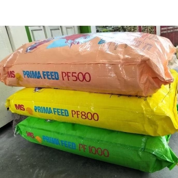 Jual Pakan benih ikan PF1000 PF800 PF500 (1kg) | Shopee Indonesia