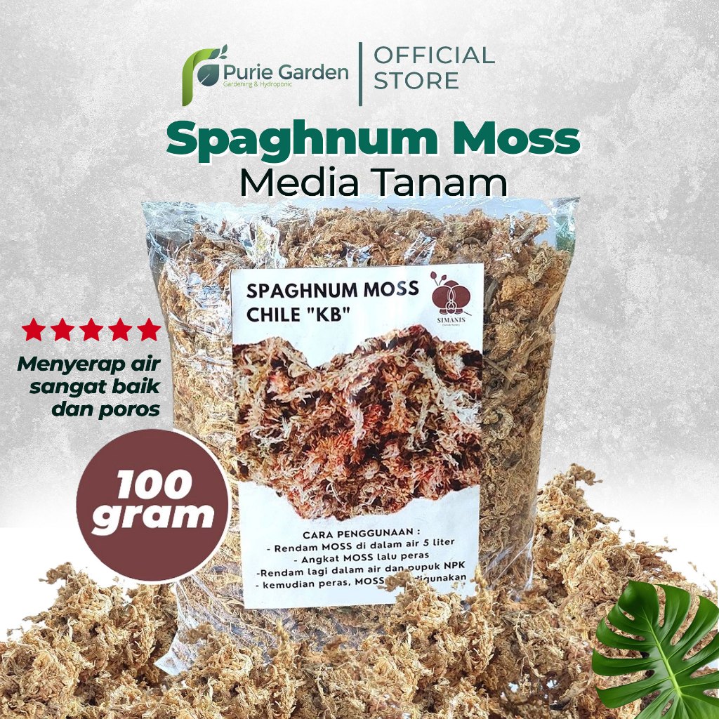 Jual Spagnum Moss Chile Anggrek Monstera Calathea dll Media Tanam ...