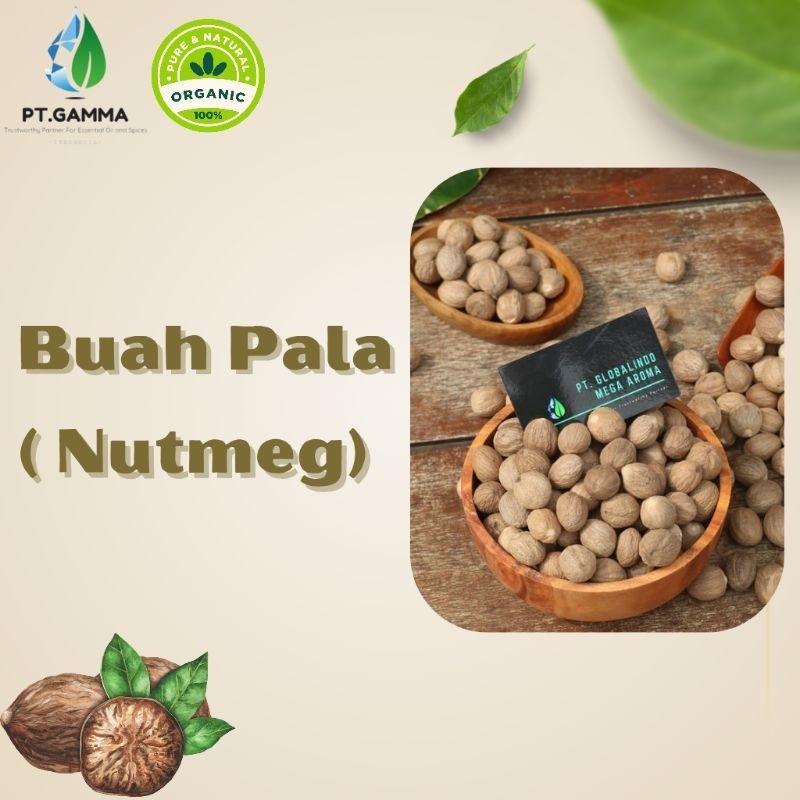 Jual Buah Pala (Nutmeg) | Shopee Indonesia