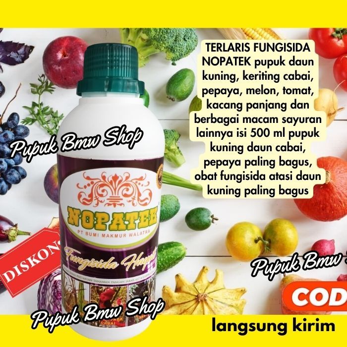 Jual TERLARIS FUNGISIDA NOPATEK pupuk daun kuning, keriting cabai ...