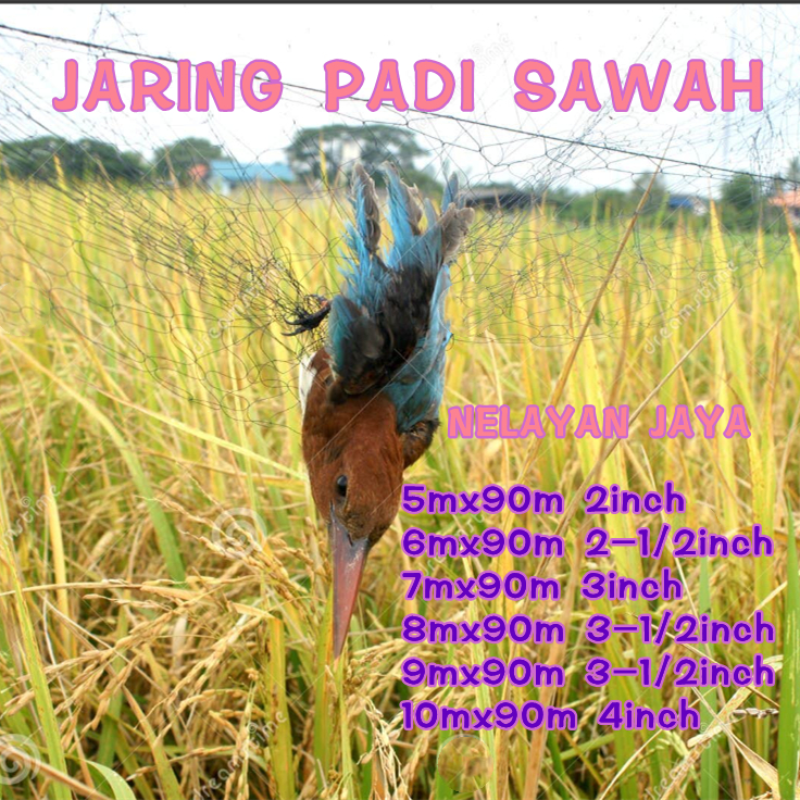 Jual JARING PADI PENUTUP SAWAH SENAR 0.15/ JARING BURUNG PIPIT DAN ...