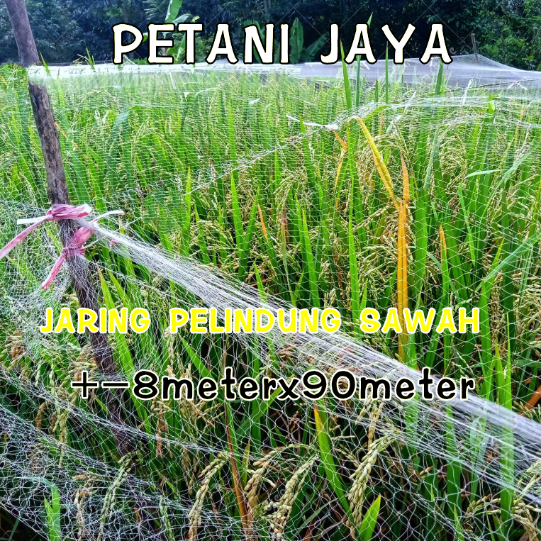 Jual JARING PENUTUP PADI / JARING BURUNG SAWAH / JARING PIPIT / JARING ...