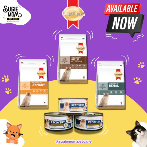 Jual Smartheart Urinary dryfood - Smartheart Renal - Smartheart ...
