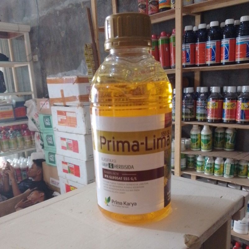 Jual PRIMA LIMA 555SL 1L | Shopee Indonesia