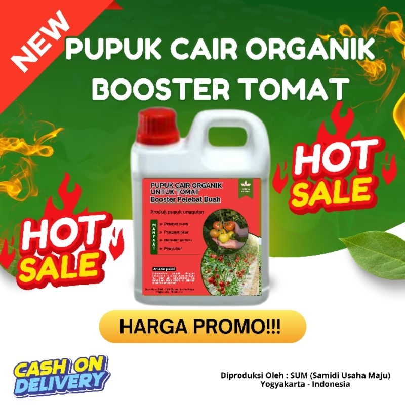 Jual Pupuk Cair Organik Booster Pelebat dan pembesar tomat ukuran 1 Liter (1000ml) | Shopee ...