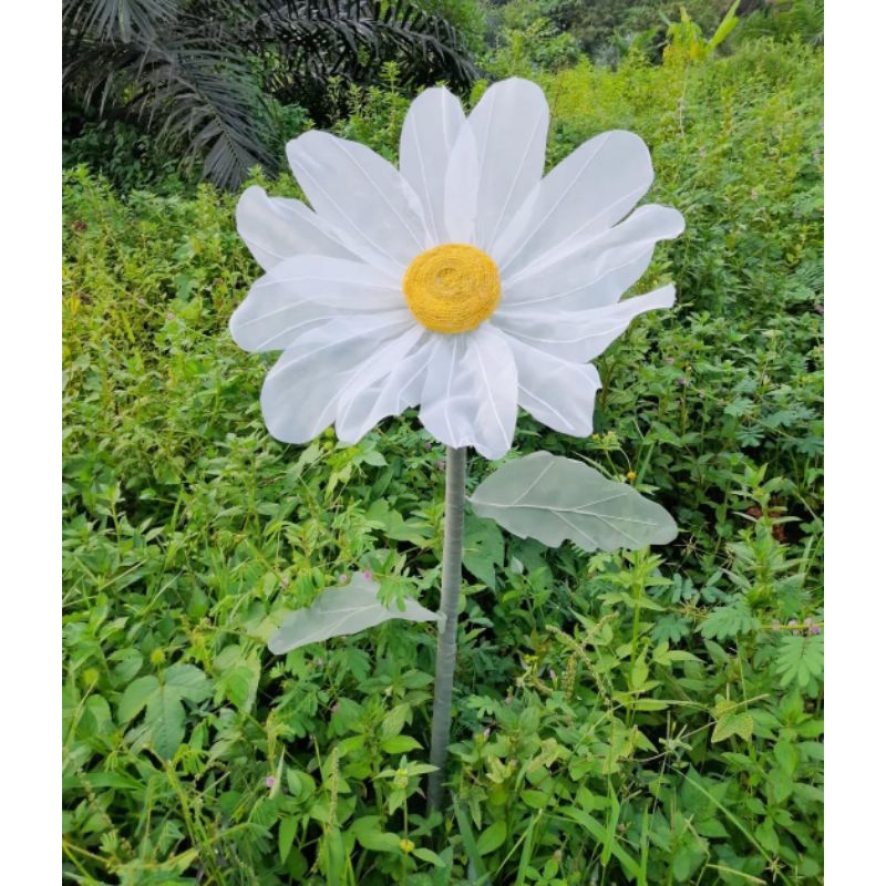 Jual giant flower daisy organza diameter 70cm | kelopak bunga daisy ...
