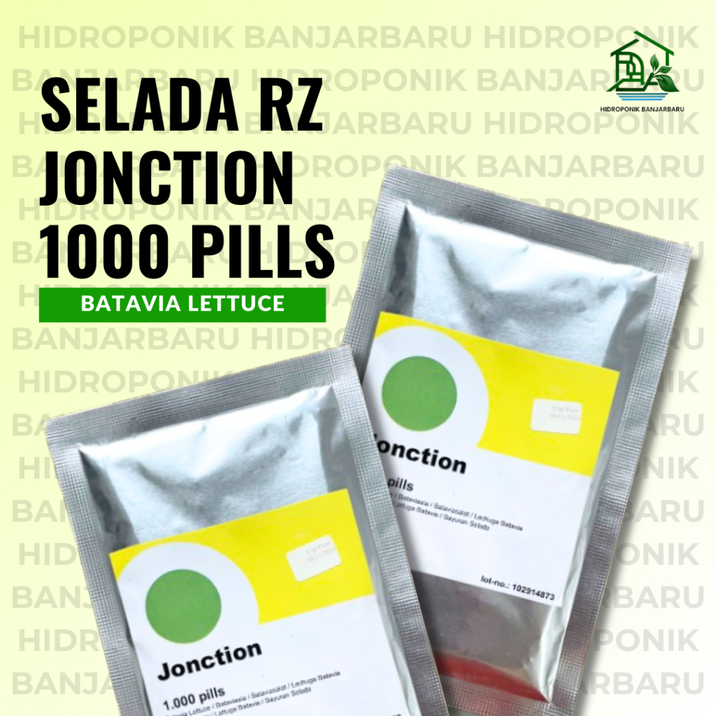 Jual 1000 PILLS BENIH SELADA RZ JONCTION LETTUCE BATAVIA RIJK ZWAAN ...