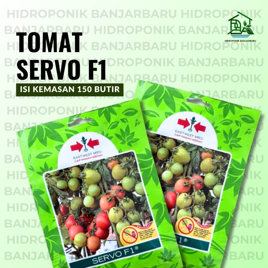 Jual BENIH TOMAT SERVO F1 PANAH MERAH 150 BUTIR | Shopee Indonesia